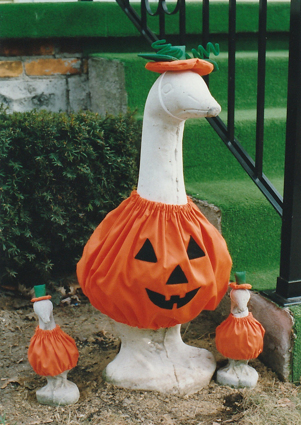 Pumpkin Goose Clothes Pattern – Personal Designs